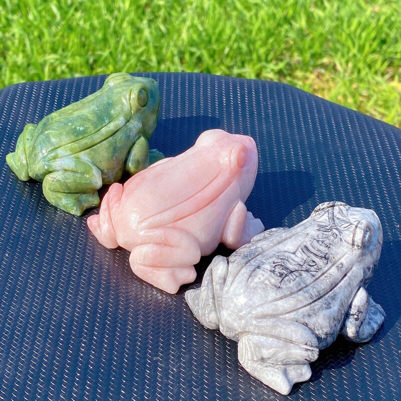 Frog Home Decor - Etsy