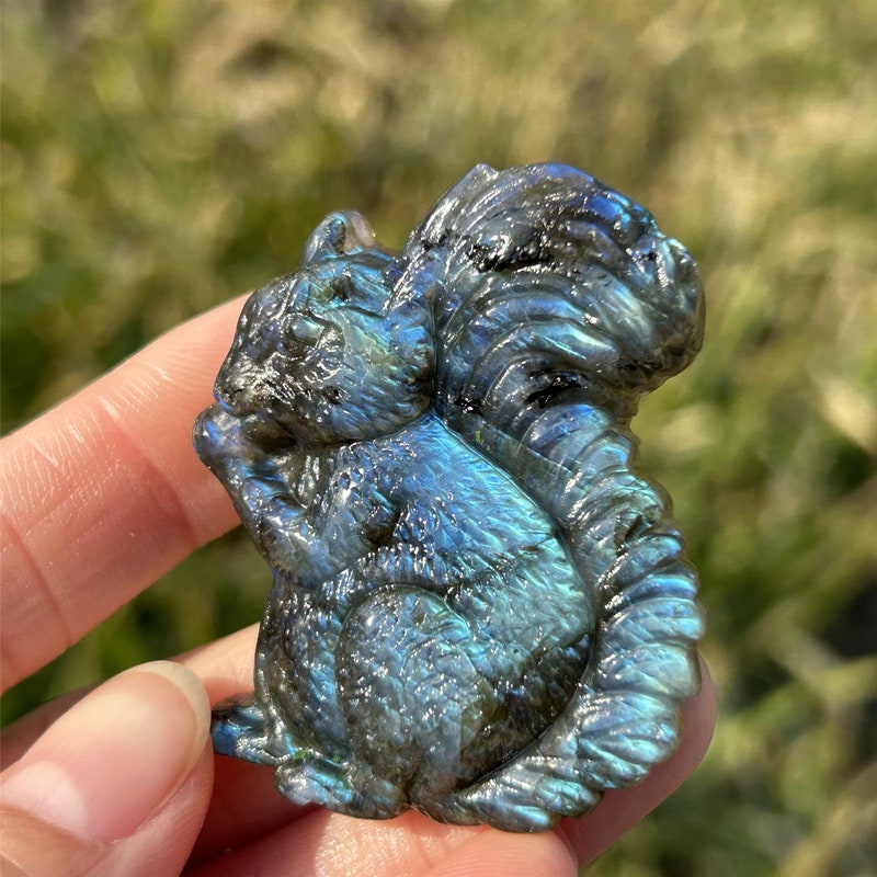 Carved Squirrel - Etsy