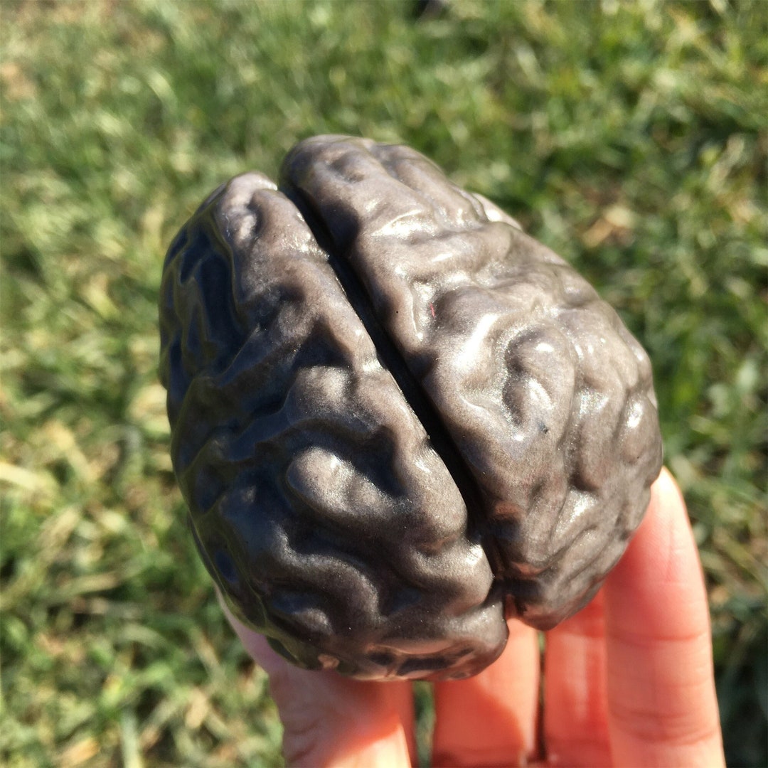 1PC Natural Silver Obsidian Human Brain,quartz Crystal Brain,crystal ...