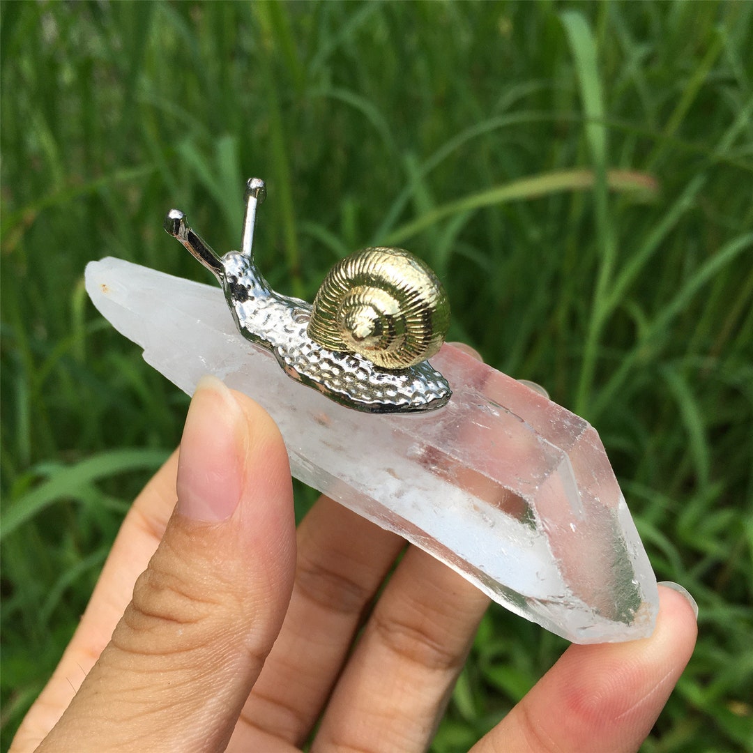 1PC Natural Crystal Specimen Mineral snail,quartz Snail,home Decoration ...