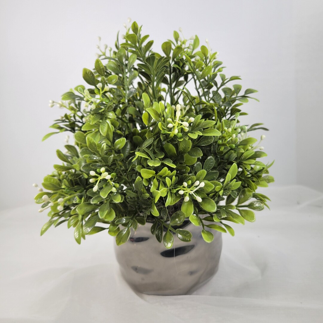 Silver Ceramic Pot, Elegant Home Decor, Stylish Boxwood Accent ...