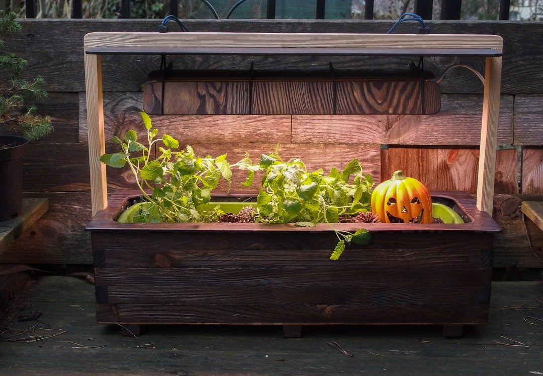 A Sunny Pot for Your Kitchen Plants, Grow Your Favorite Herbs Wherever ...