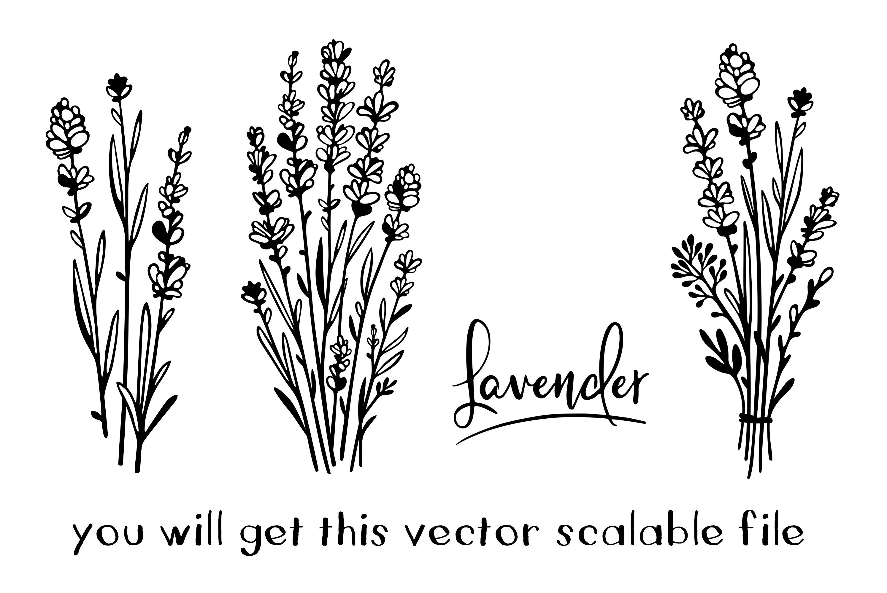 Lavender wildflowers bouquets SVG botanical floral stencil | Etsy