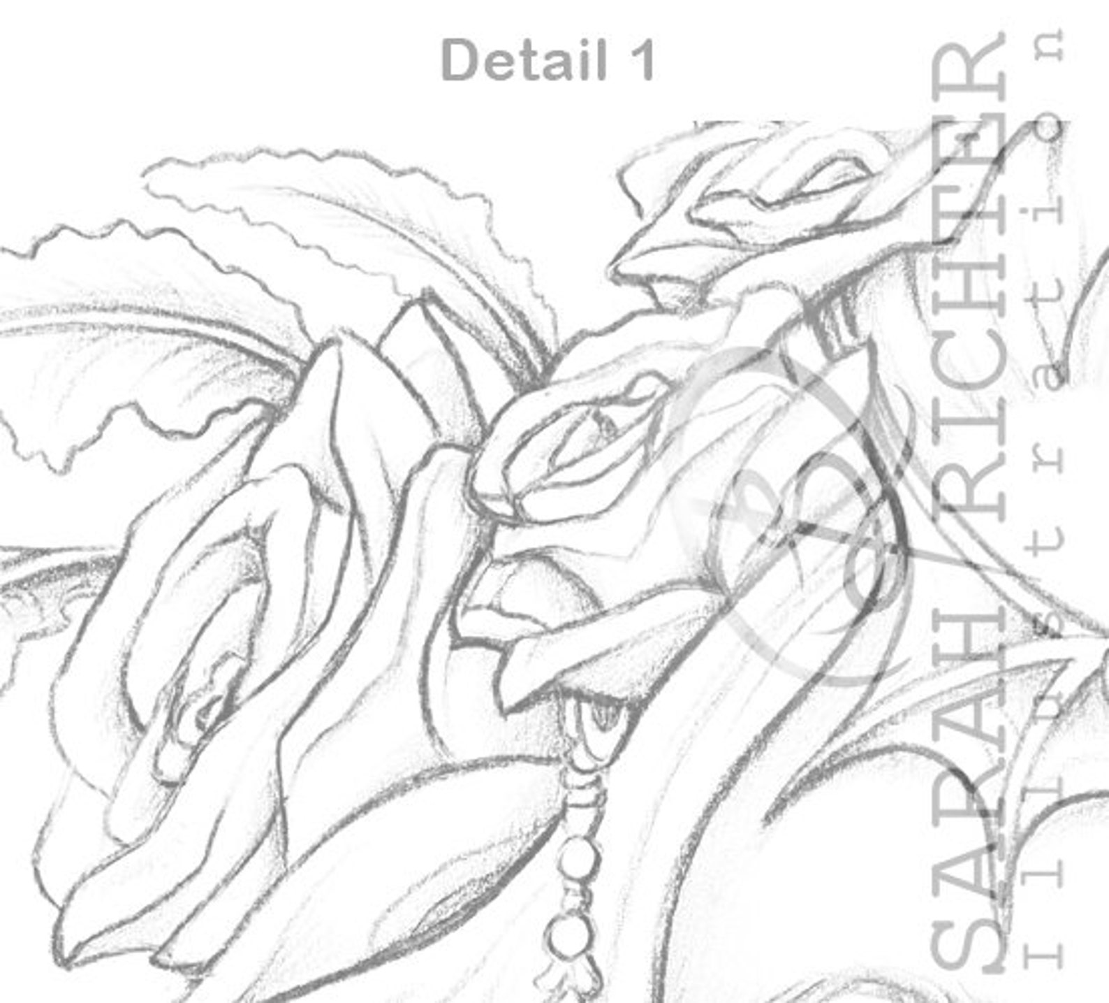 Mina Coloring Page Printable Pdf by Sarah Richter - Etsy Australia