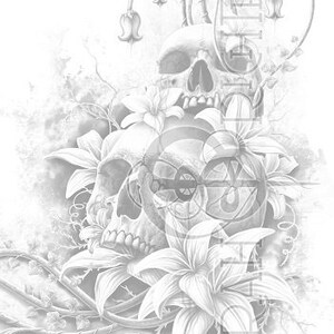 Blood Lily Greyscale and Line Art Coloring Page Pack Printable PDF by ...