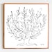 Matisse Tree, Tree Poster, Tree Wall Art Print, Black and White ...