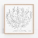 Matisse Tree, Tree Poster, Tree Wall Art Print, Black and White ...