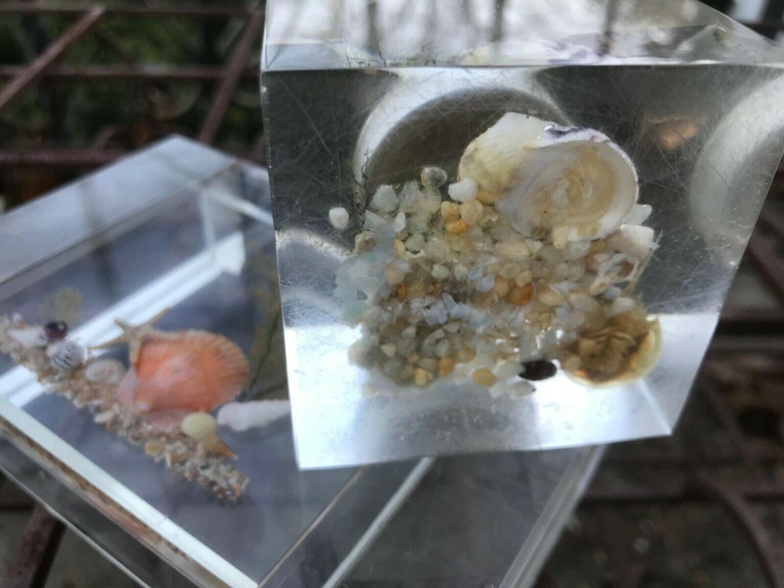 Vintage MCM Set Lucite Cigarette Case and Lighter Sea Shells - Etsy