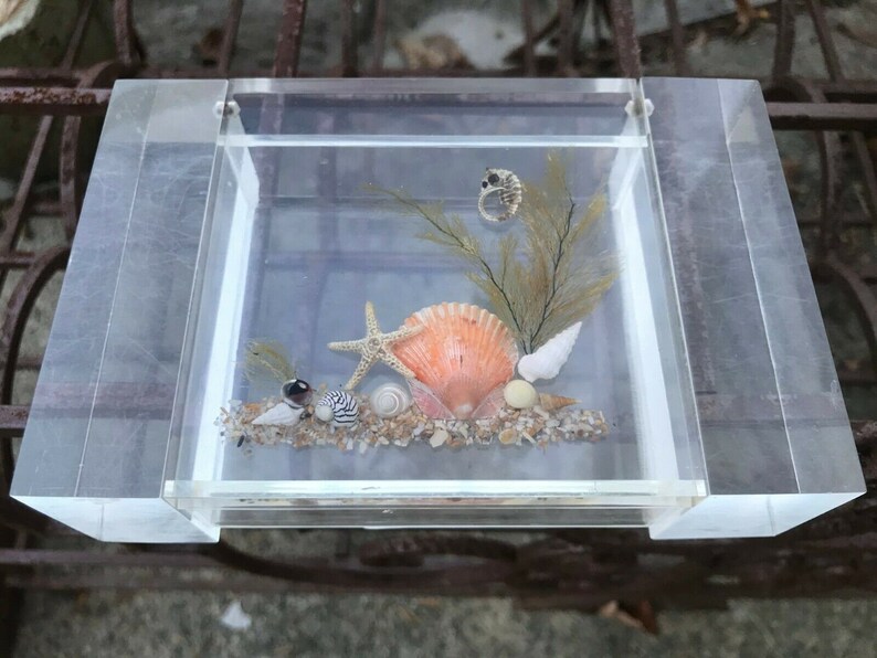 Vintage MCM Set Lucite Cigarette Case and Lighter Sea Shells - Etsy