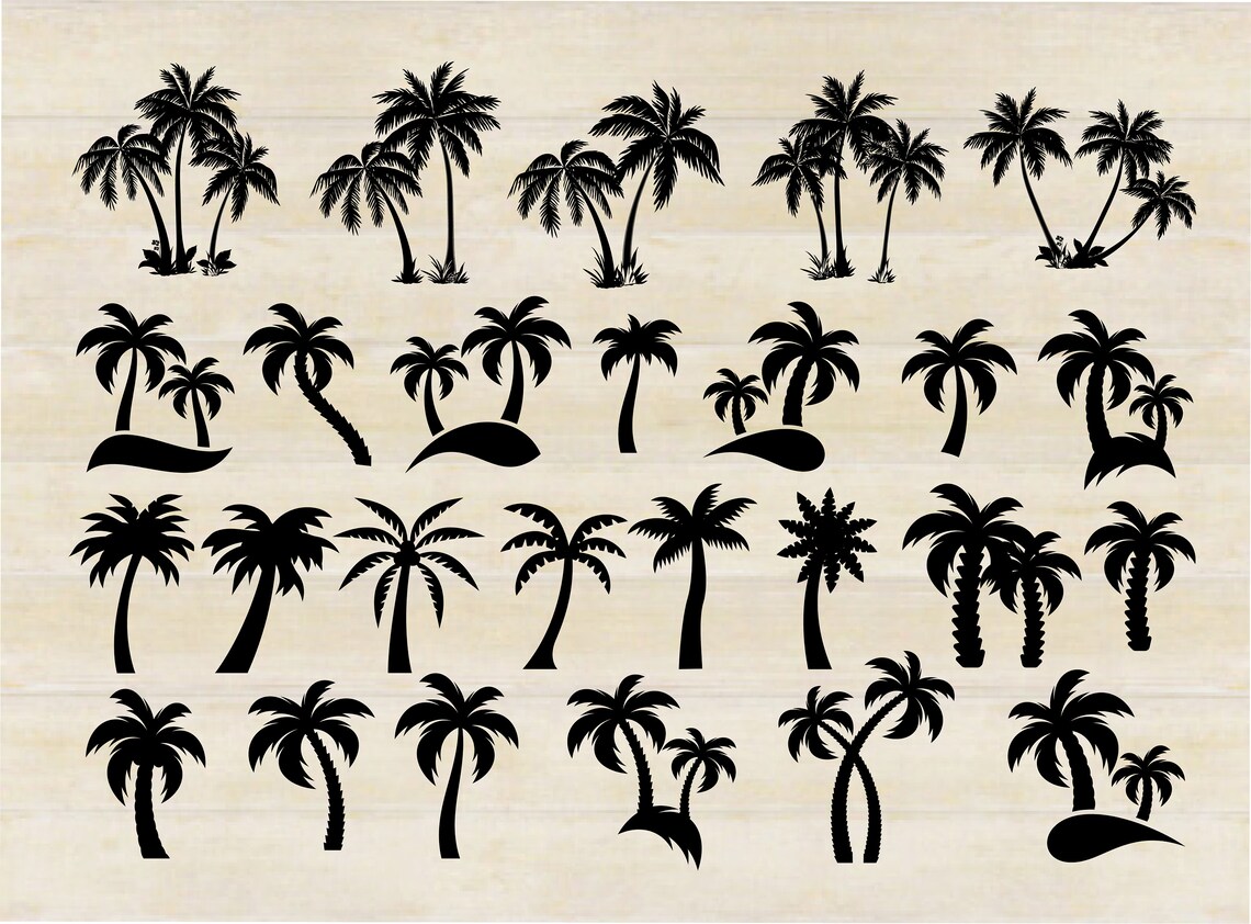 Palm Tree SVG Bundle, 26 Palm Trees Designs, Beach SVG, Tropical, Palm ...