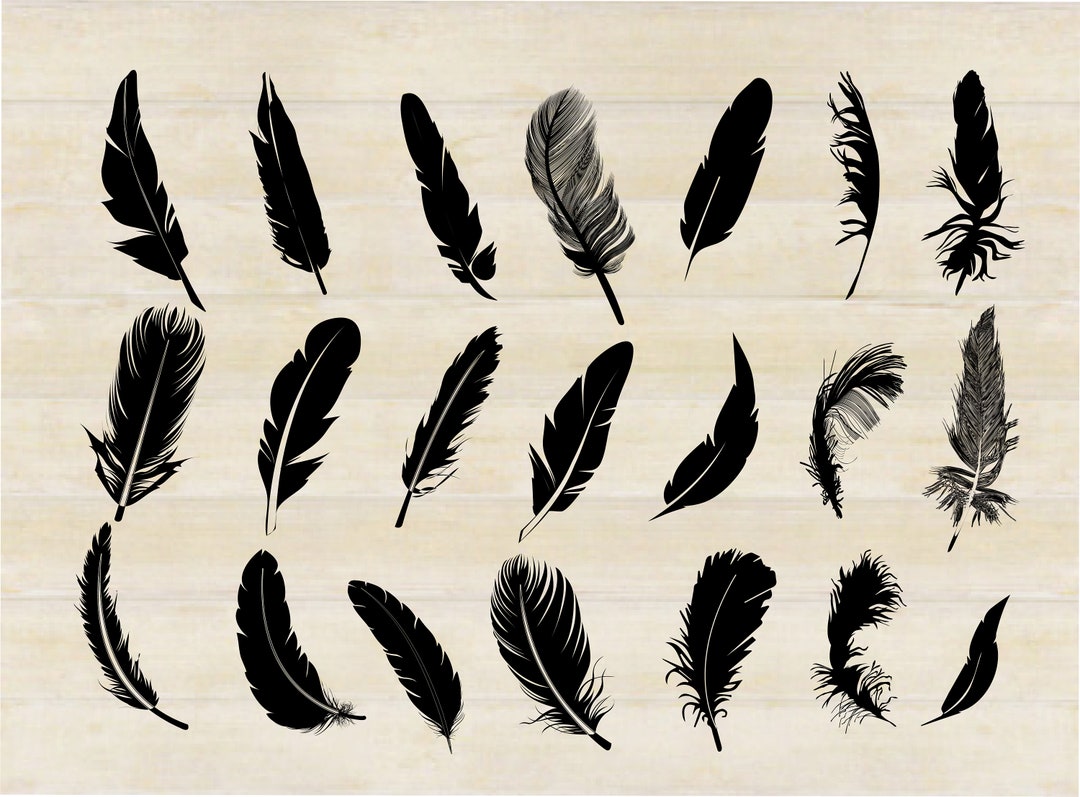 21 FEATHER DESIGN BUNDLE, Feather Bundle Clipart, Feather Vector Set ...