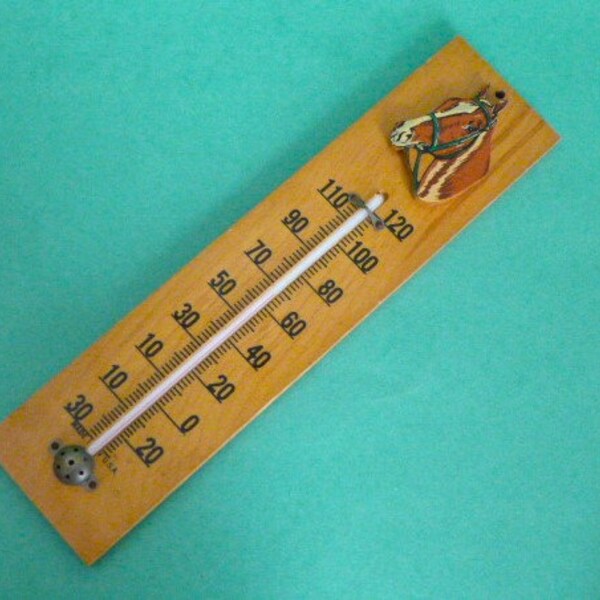 Vintage Thermometer - Etsy