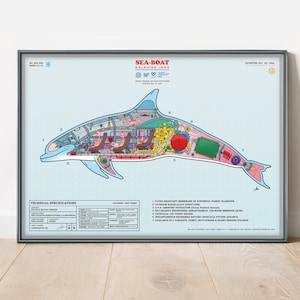Dolphin Sea Monkeys Robot Prototype, Patent Poster, Dolphin Anatomy ...