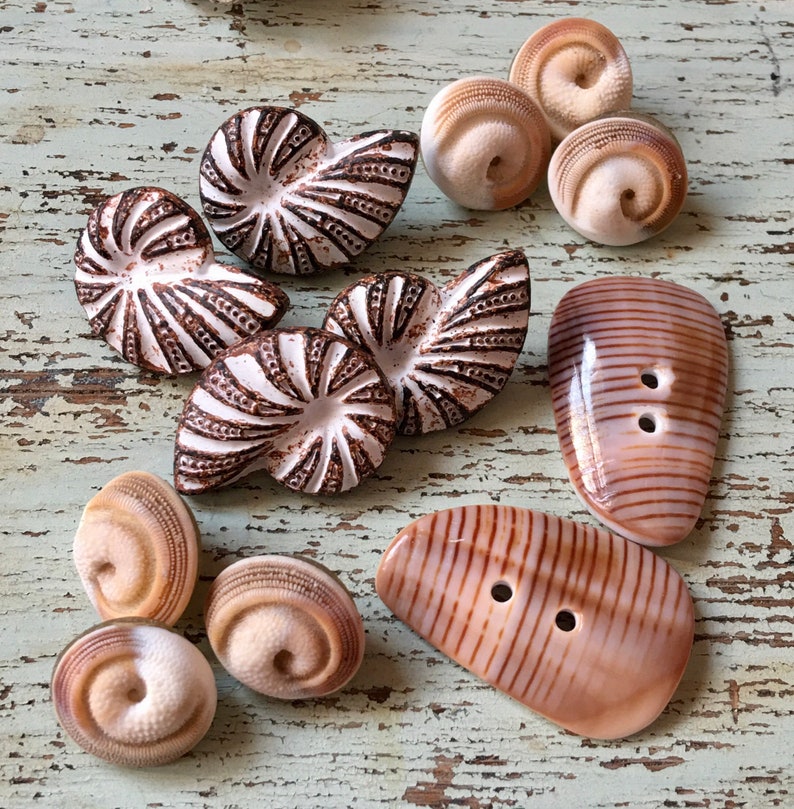 Beach Buttons Shell Buttons | Etsy