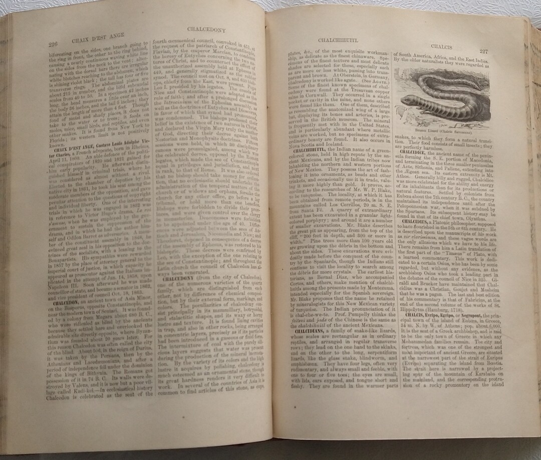 Antique Encyclopedia Book Pages Set of 20 - Etsy