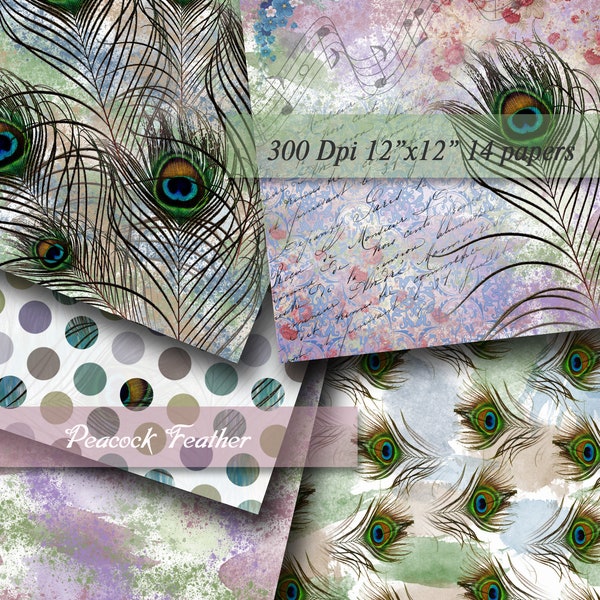 Peacock Papers - Etsy