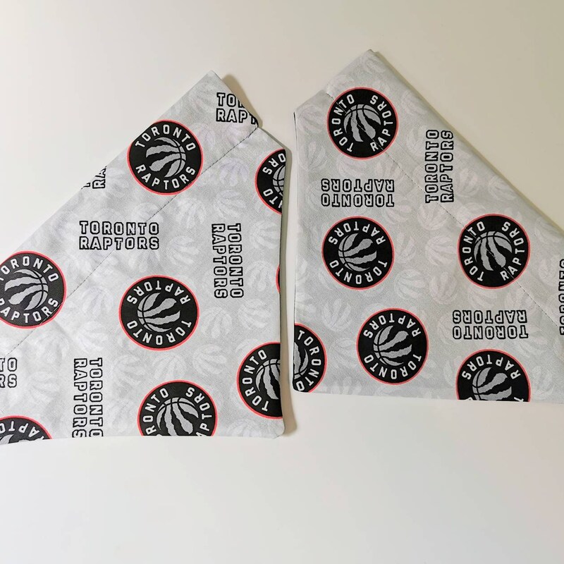 Toronto Raptors - Etsy