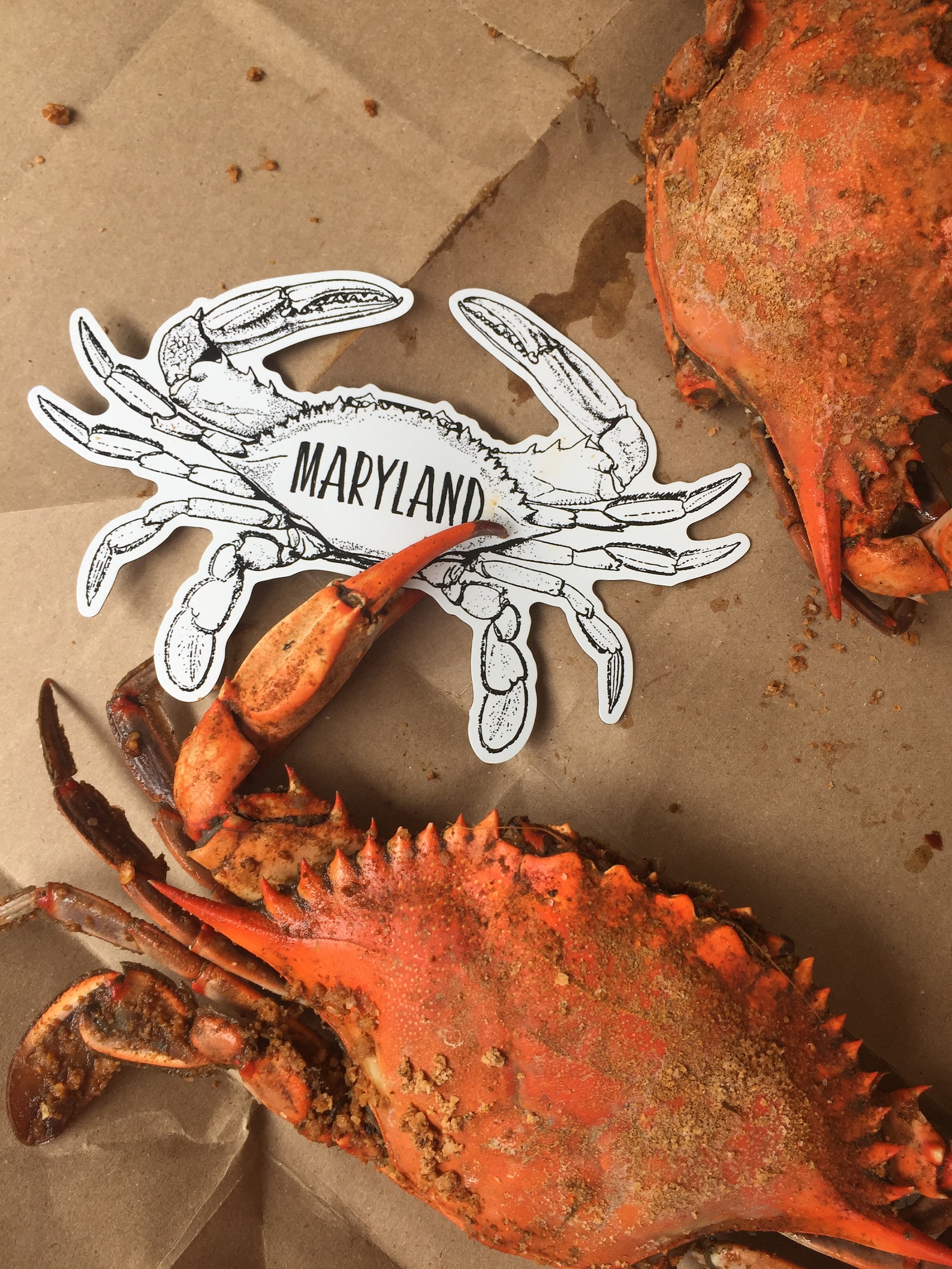 Maryland Crab Sticker/magnet Maryland Gifts L Chesapeake Bay - Etsy