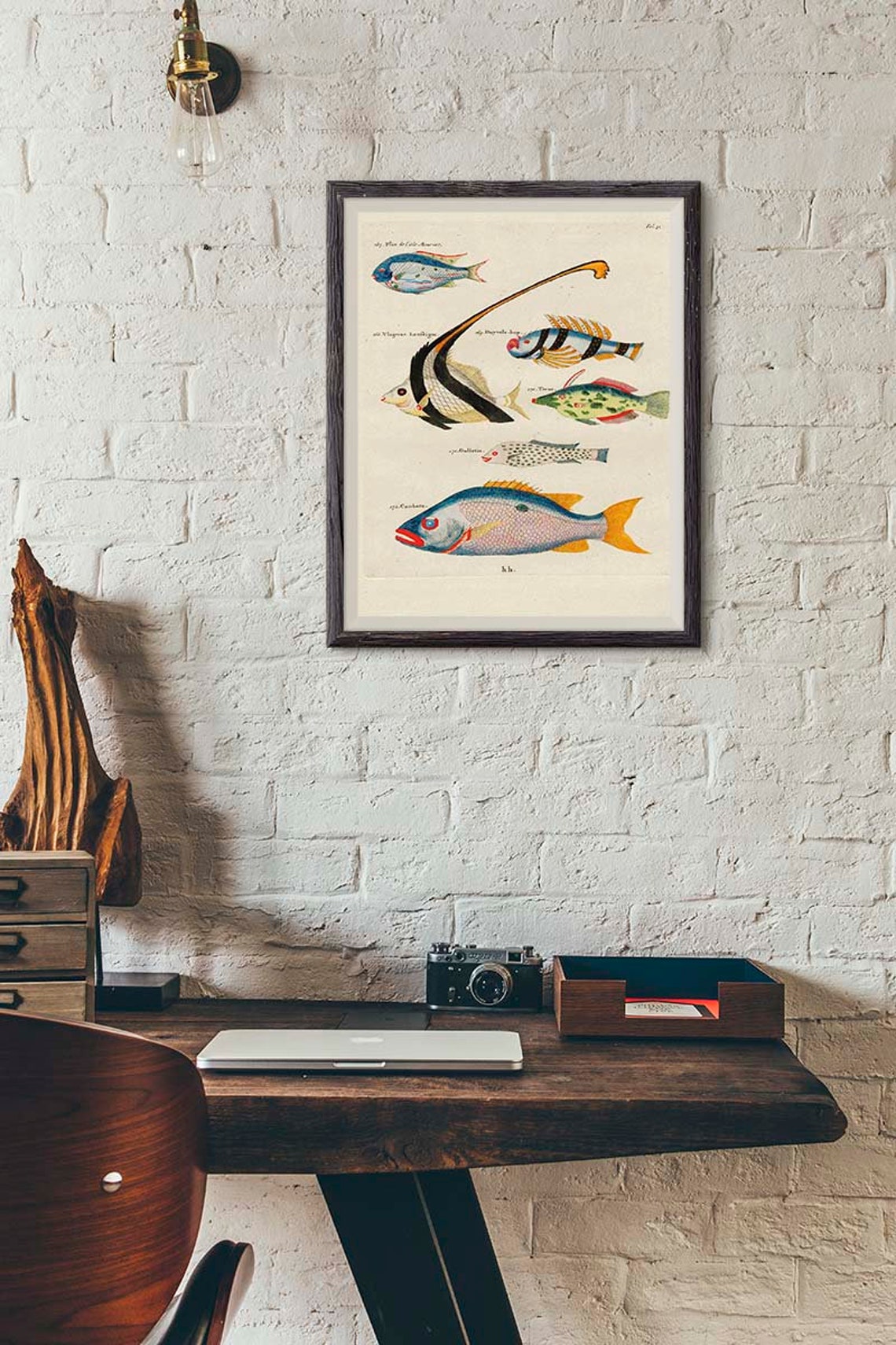 35 Fishing Prints ,vintage Fishing Poster, Breeds of Fish Chart ...