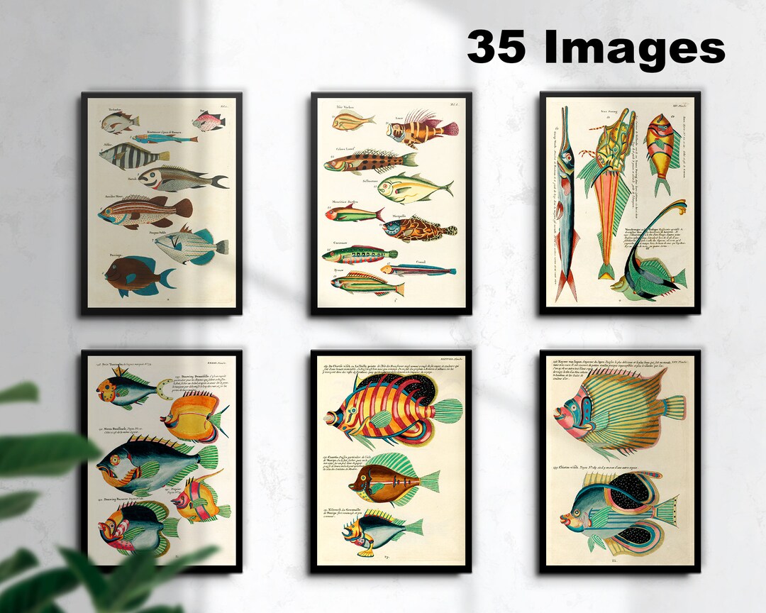 35 Fishing Prints ,vintage Fishing Poster, Breeds of Fish Chart ...