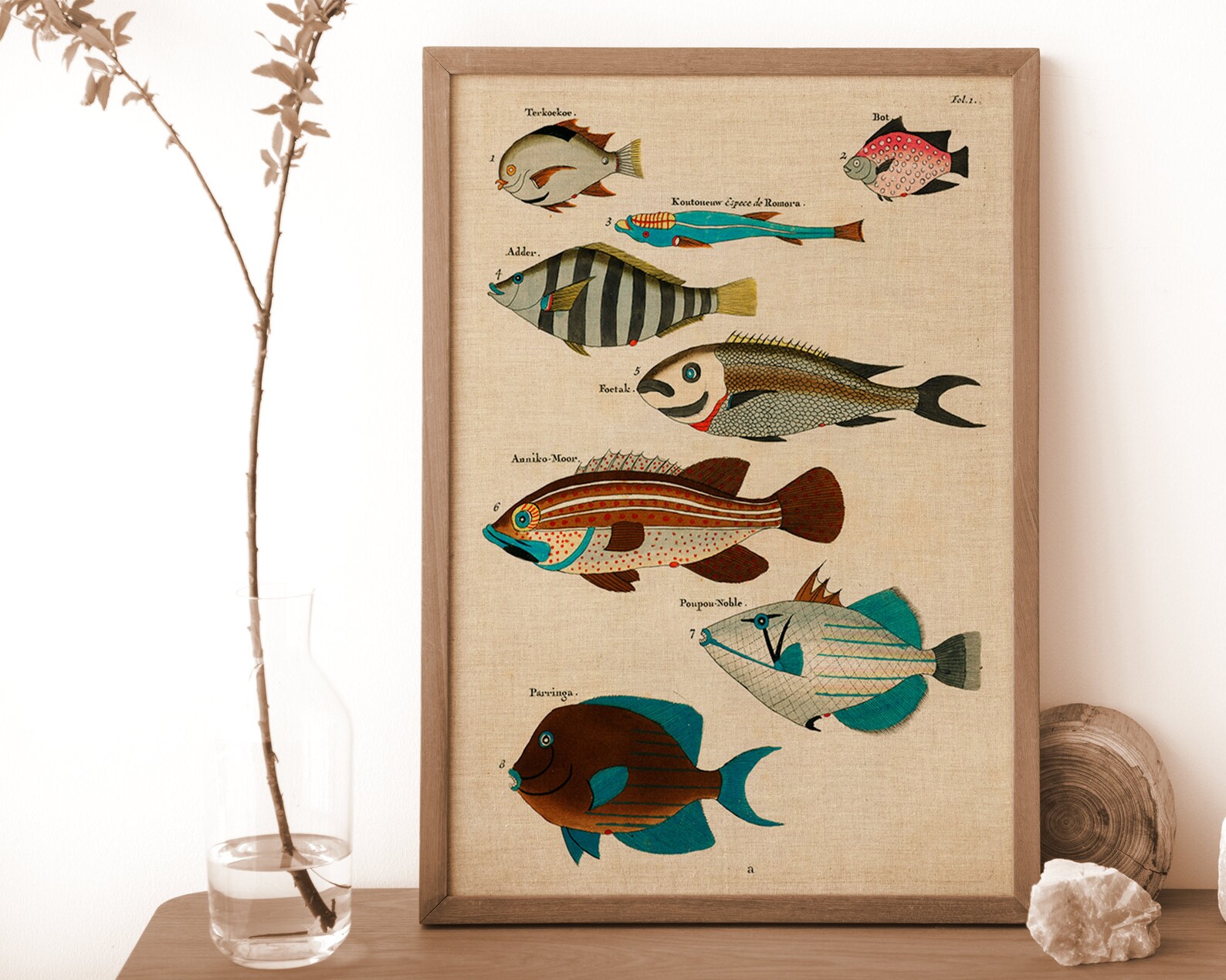 35 Fishing Prints vintage Fishing Poster Breeds of Fish | Etsy