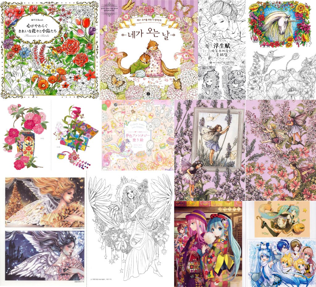 150 Coloring Books BUNDLE for Adults Anime Fairy - Etsy