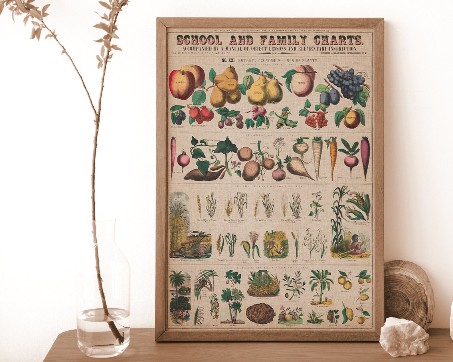 Vintage School BOTANICAL Chart Set Vintage Botanical Wall Art | Etsy