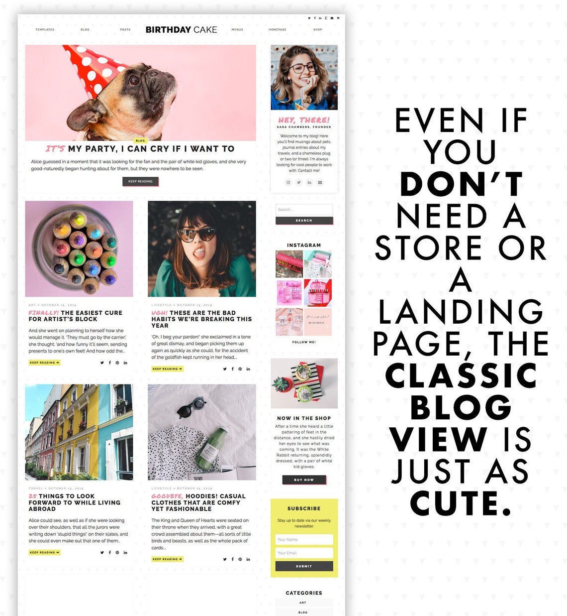 Fun Wordpress Theme Birthday Cake Wordpress Theme for - Etsy