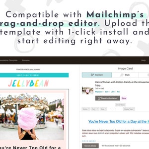 Cute Email Template for Mailchimp | Editable Newsletter Template ...