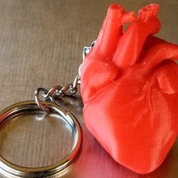 Pelvis Keychain, Pelvis Skeleton Key Ring, Anatomical Pelvis, Initial ...