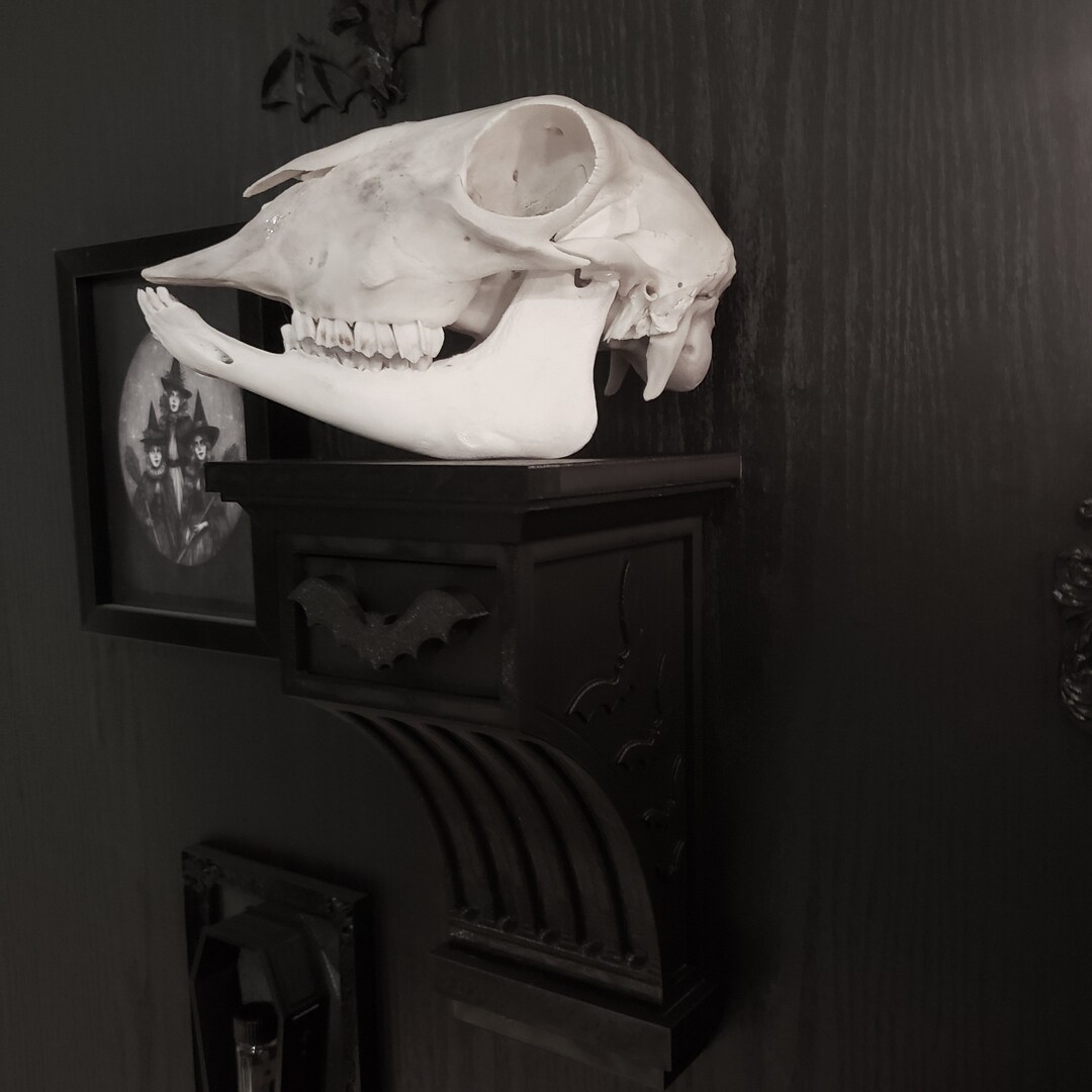 Bat Corbel Shelf With Drawer 10 Inches Tall Gothic Home Decor 3D ...