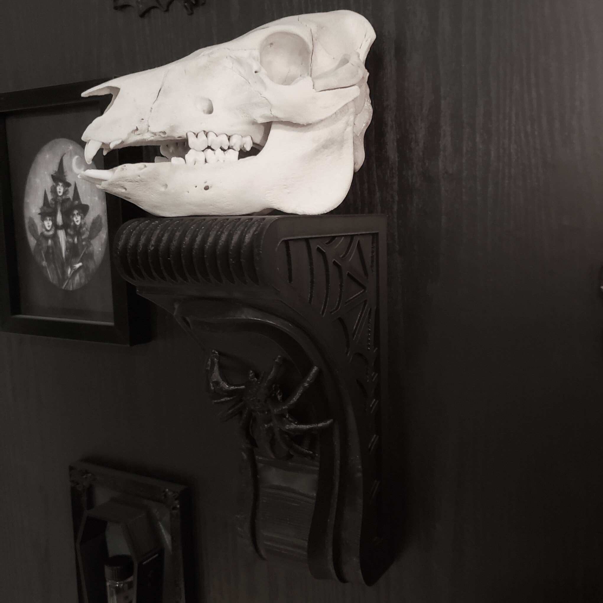 Spider & Web Corbel Shelf - 10 Inches Tall • Gothic Home Decor • 3D ...