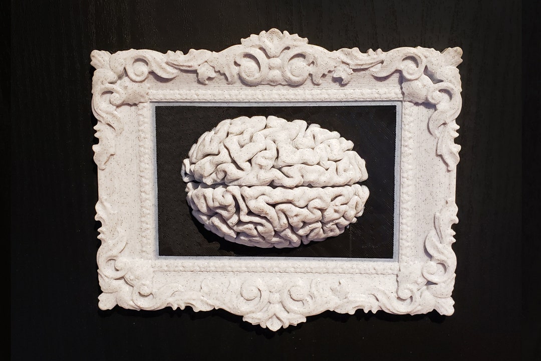 Anatomical Brain Frame Wall Art • Gothic Home Decor • 3D Printed - Etsy