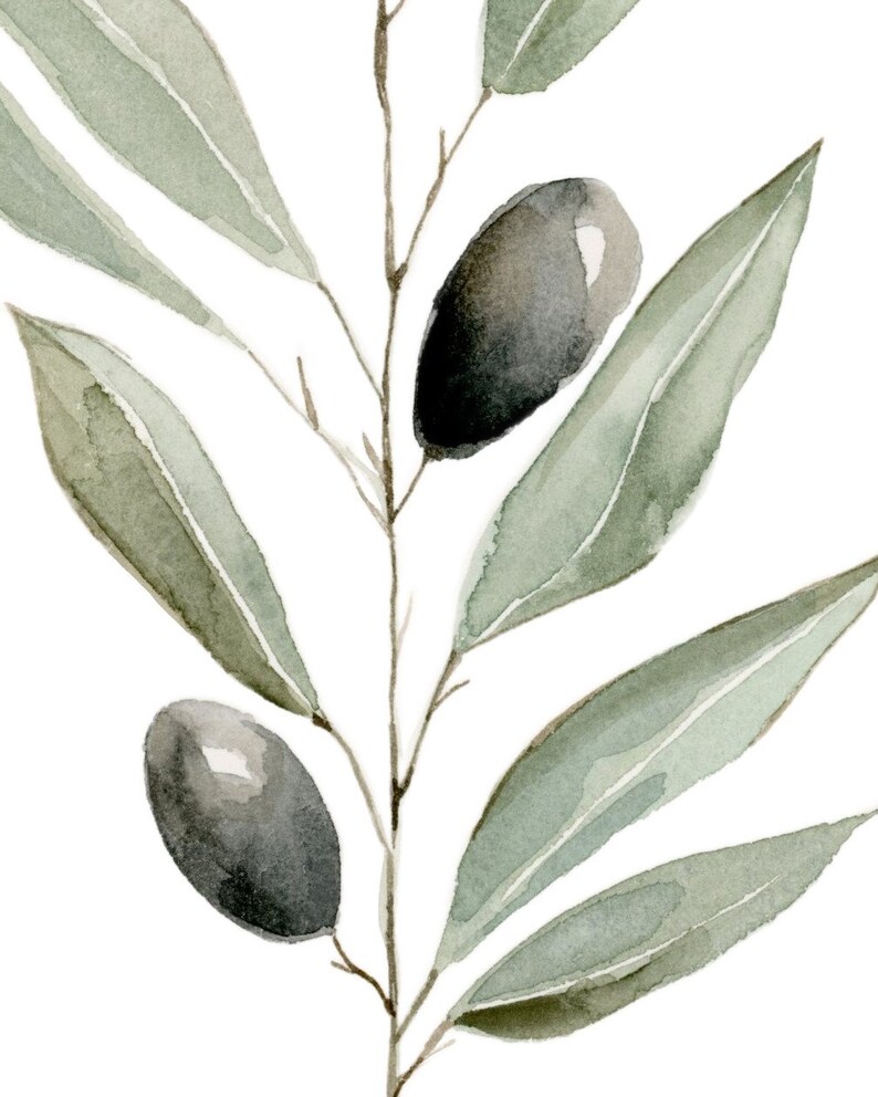 Olive Branch PRINT. Watercolor Botanical Painting, Peace Plant, Succulent, Plant Lover, Green ...