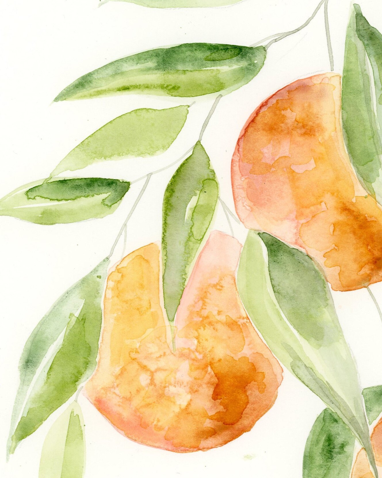 Citrus Grove PRINT. Watercolor Botanical Painting, Orange Blossom ...