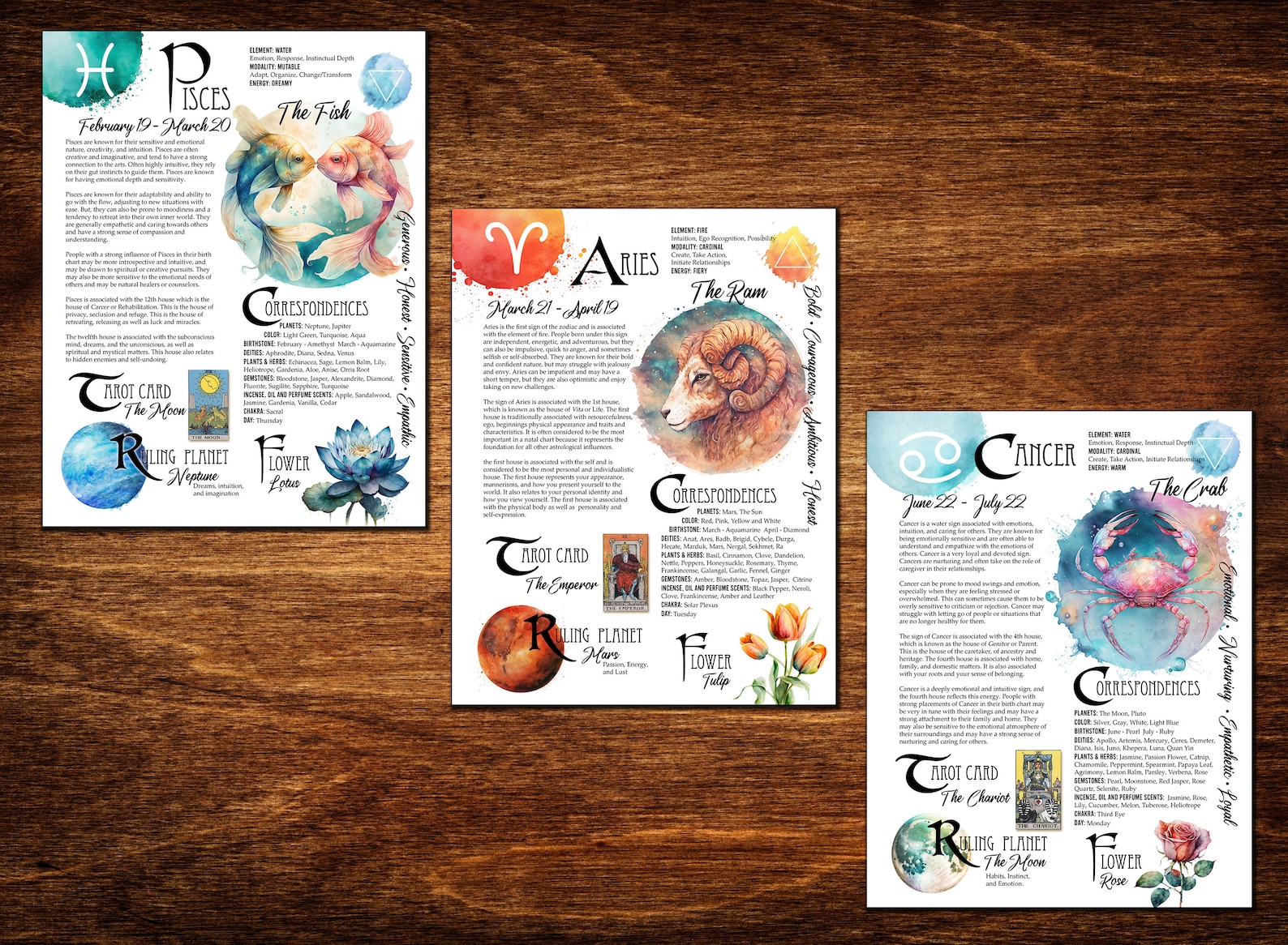 Zodiac Signs Book of Shadows Pages – Printable Astrology Grimoire ...