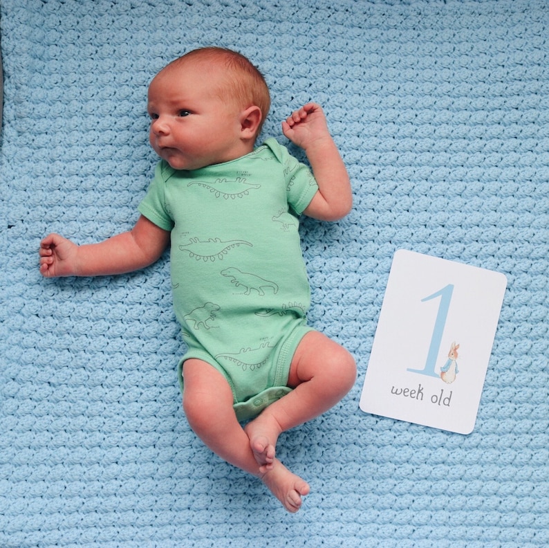 Printable Peter Rabbit Baby Milestone Cards, Beatrix Potter Baby ...
