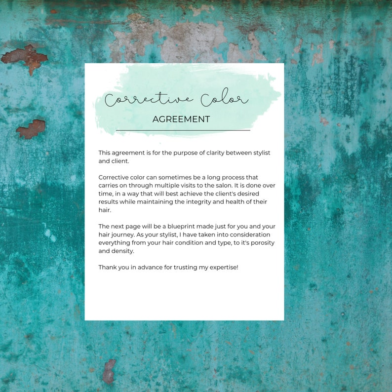 Hairstylist Corrective Color Agreement | Etsy