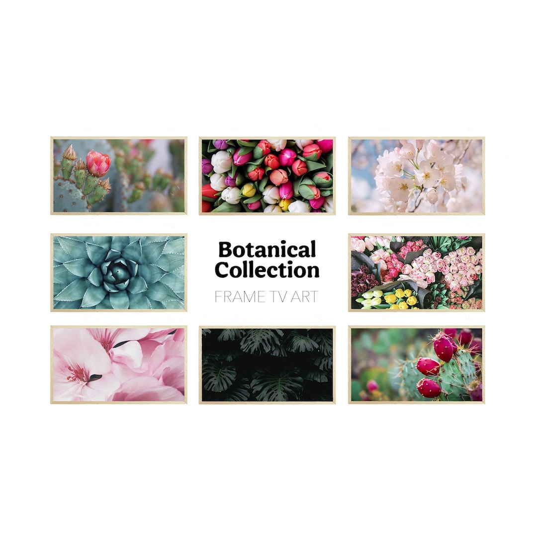 Samsung Frame Tv Art Botanical Collection 1, Bundle, Set, Flower ...
