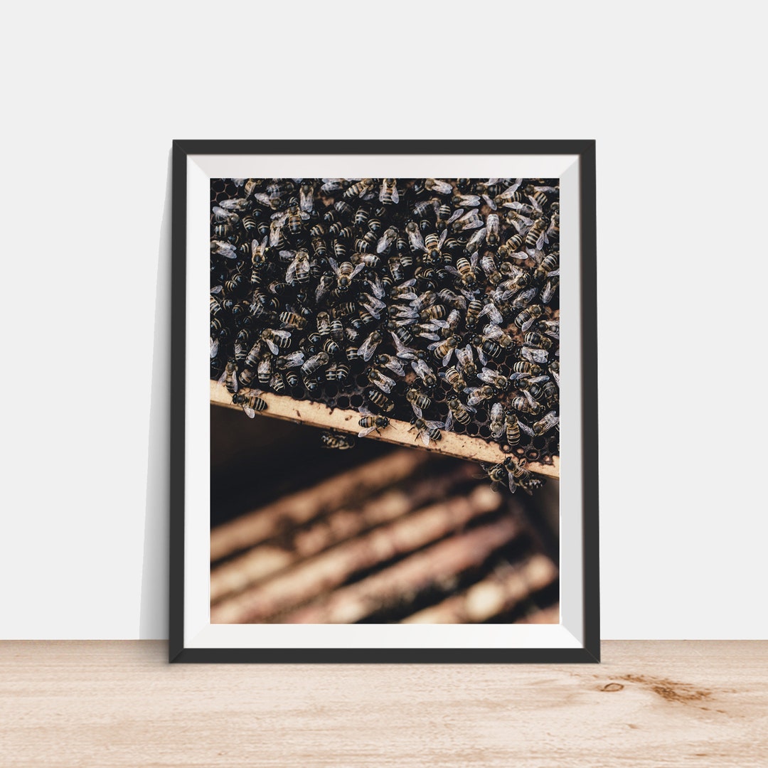 Farm Print Bees, Beehive, Beekeeping, Farmhouse, Country, Printable ...