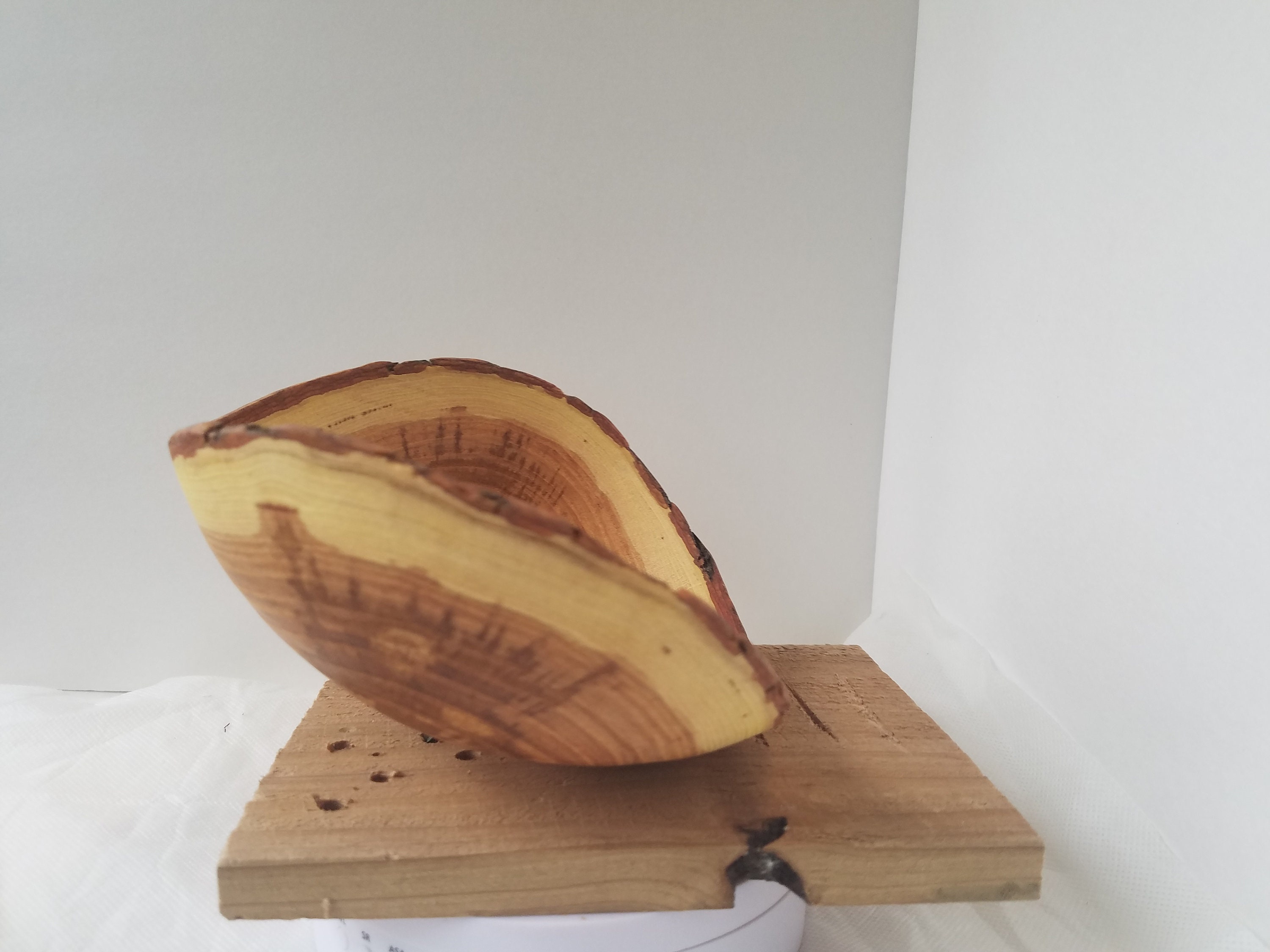 Hand Turned Honey Locust Live Edge Bowl 8.5" X 6.5c - Etsy