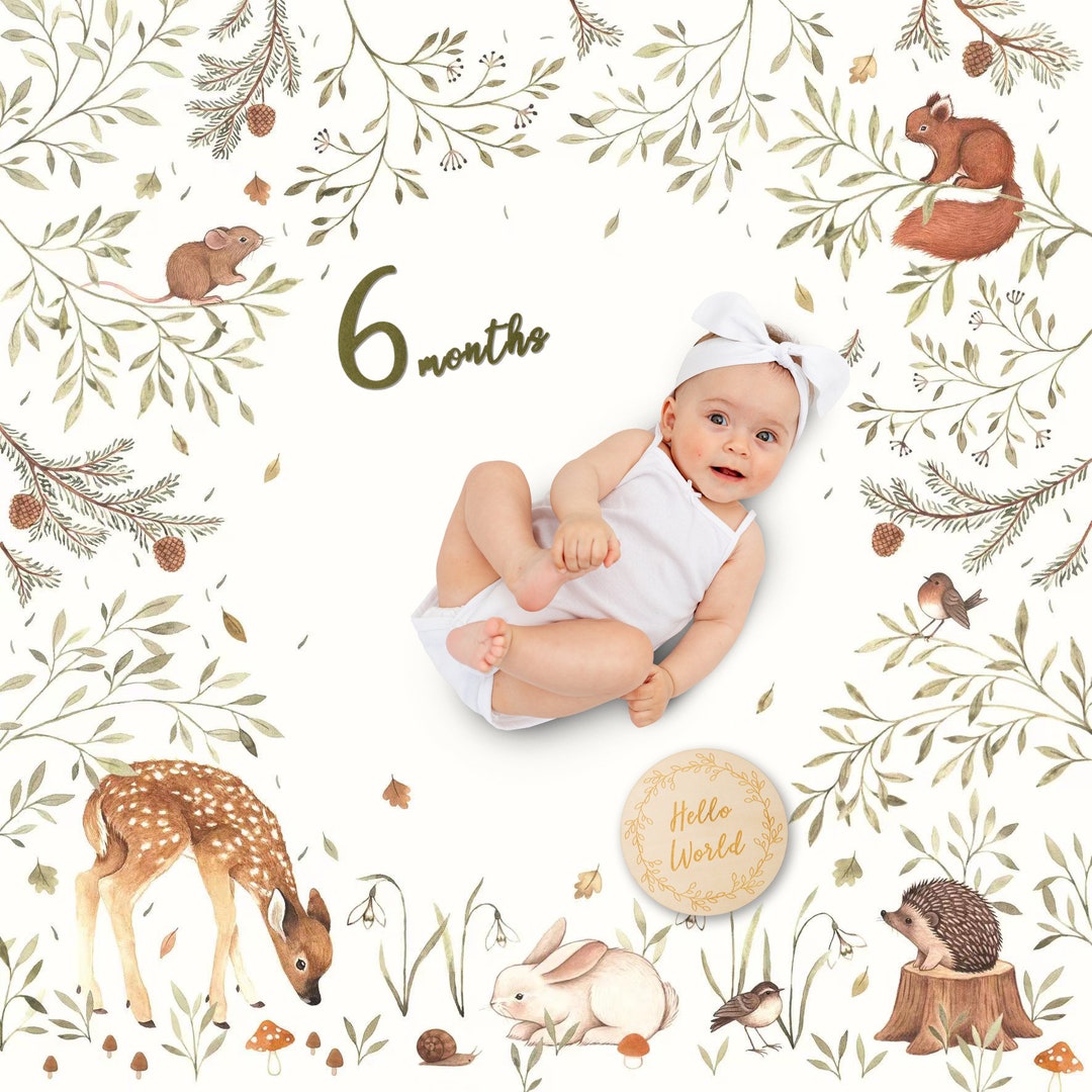 Miaoberry Wonderland Milestone Blanket| Gender Neutral|deer Fawn Owl ...