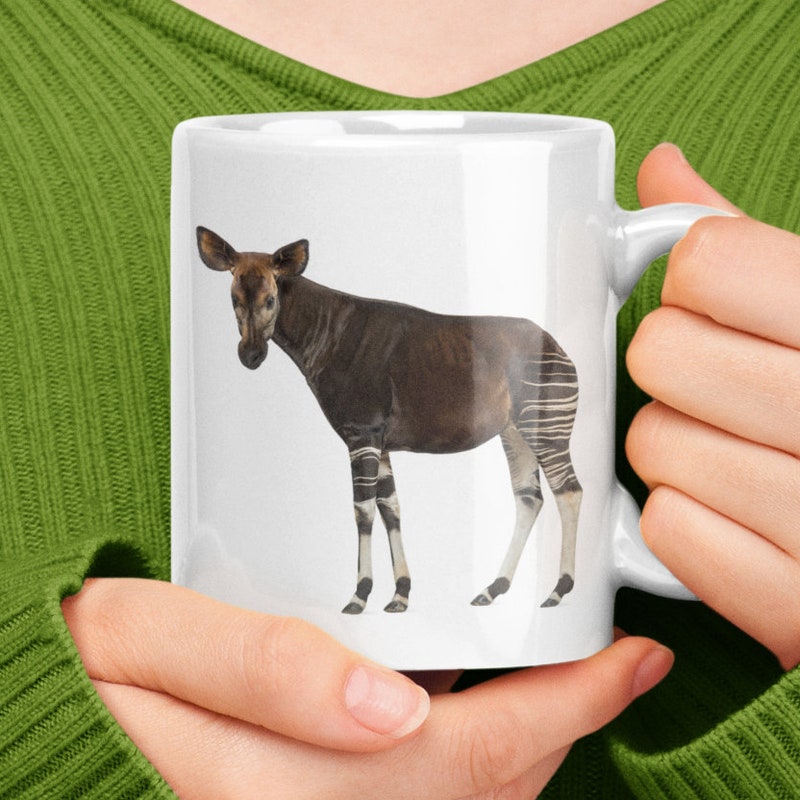 Okapi - Etsy