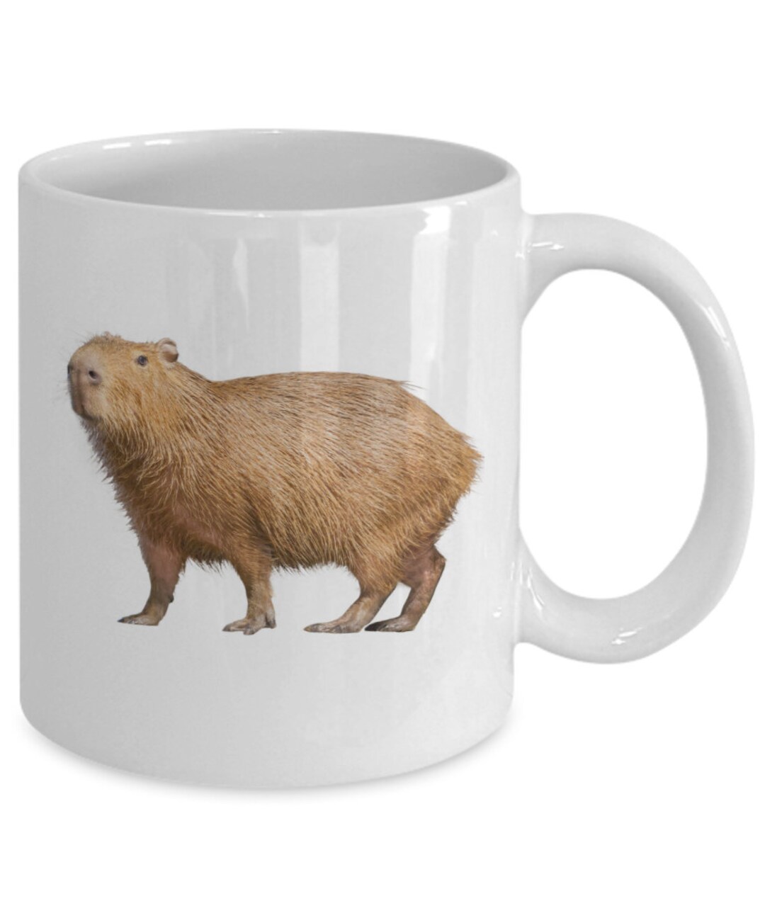 Funny Capybara Coffee Mug, Capybara Coffee Cup, Capybara Kitchen Decor ...