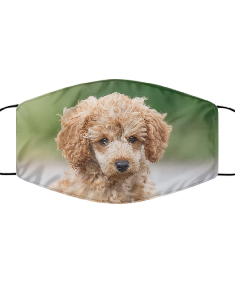 Who Is The Poodle On The Mask