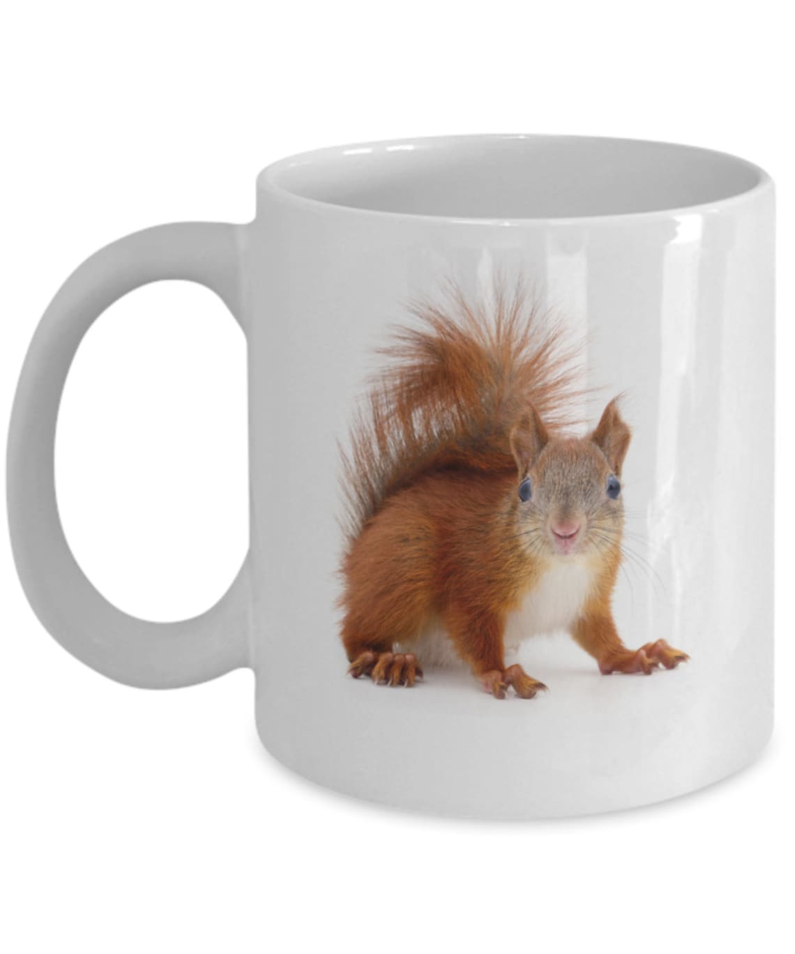 Red Squirrel Mug Red Squirrel Coffee Cup Red Squirrel | Etsy