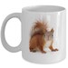 Red Squirrel Mug , Red Squirrel Coffee Cup , Red Squirrel Gifts , Red ...
