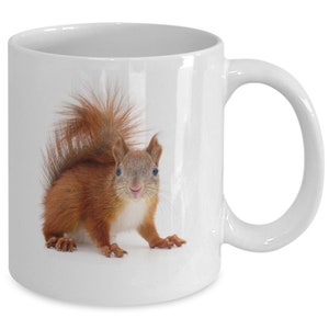 Red Squirrel Mug , Red Squirrel Coffee Cup , Red Squirrel Gifts , Red ...