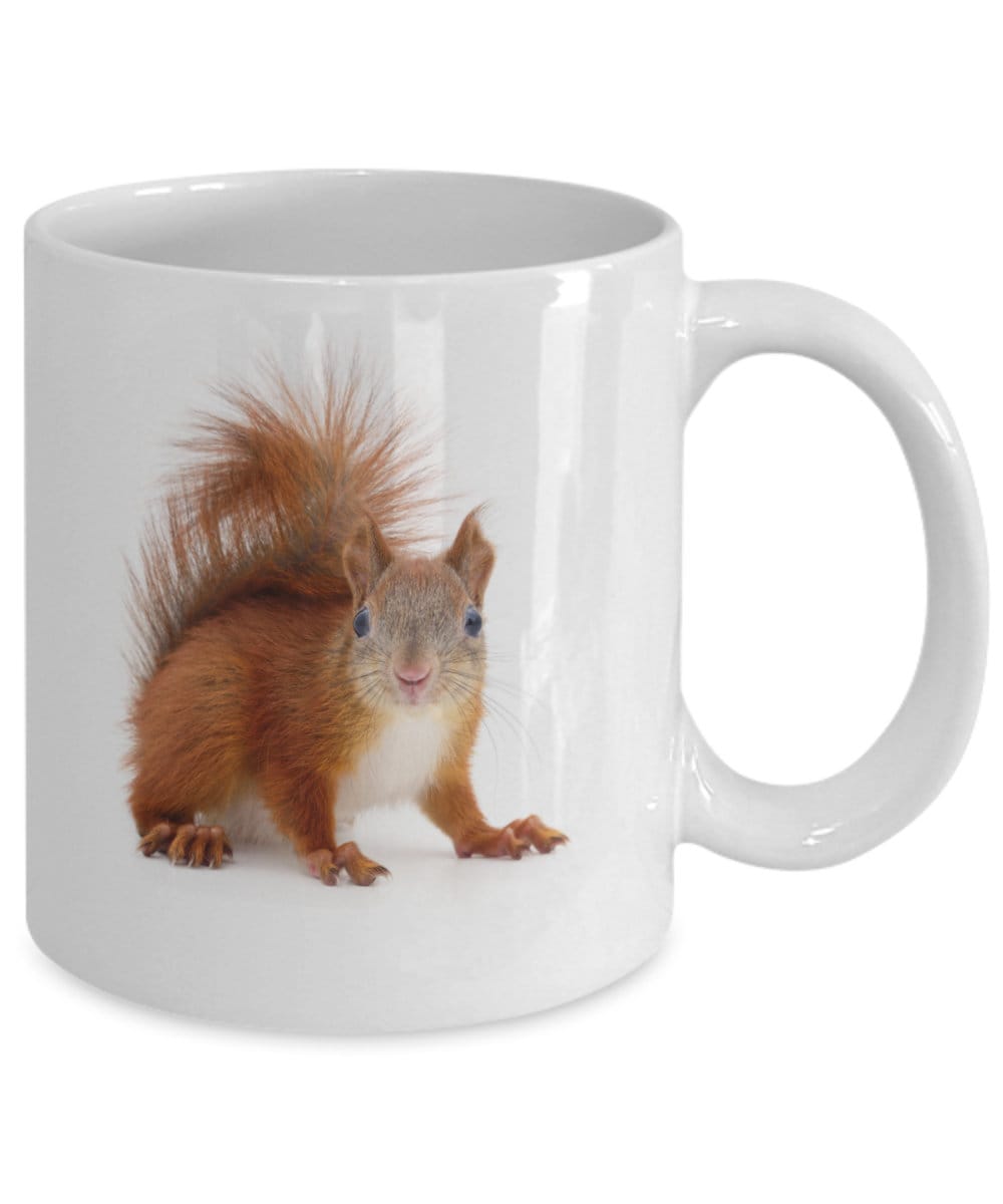 Red Squirrel Mug , Red Squirrel Coffee Cup , Red Squirrel Gifts , Red ...