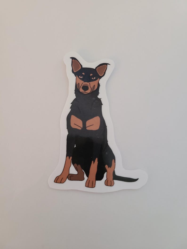 Australian Kelpie Dog Breed Stickers Cream, Red Chocolate, Black & Tan ...
